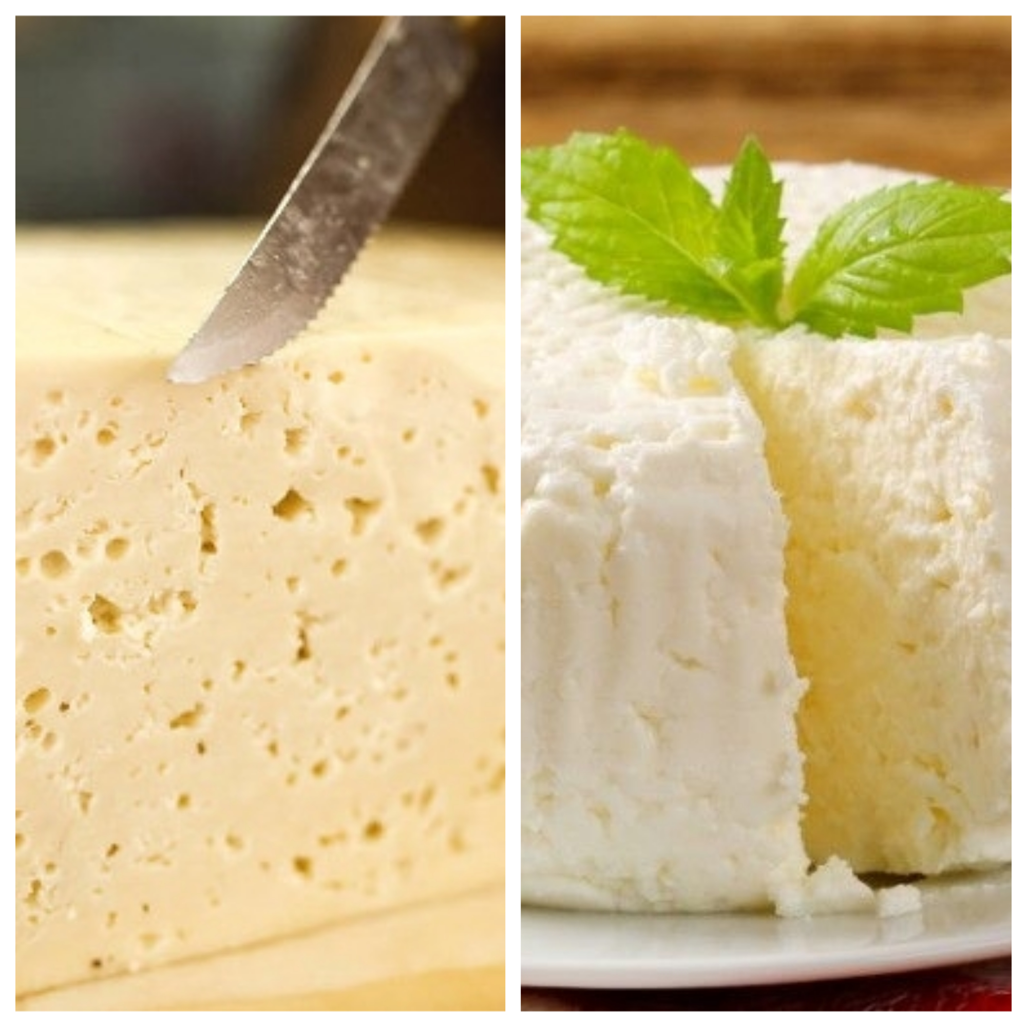 Embrapa mostra como produzir queijo coalho e ricota com qualidade